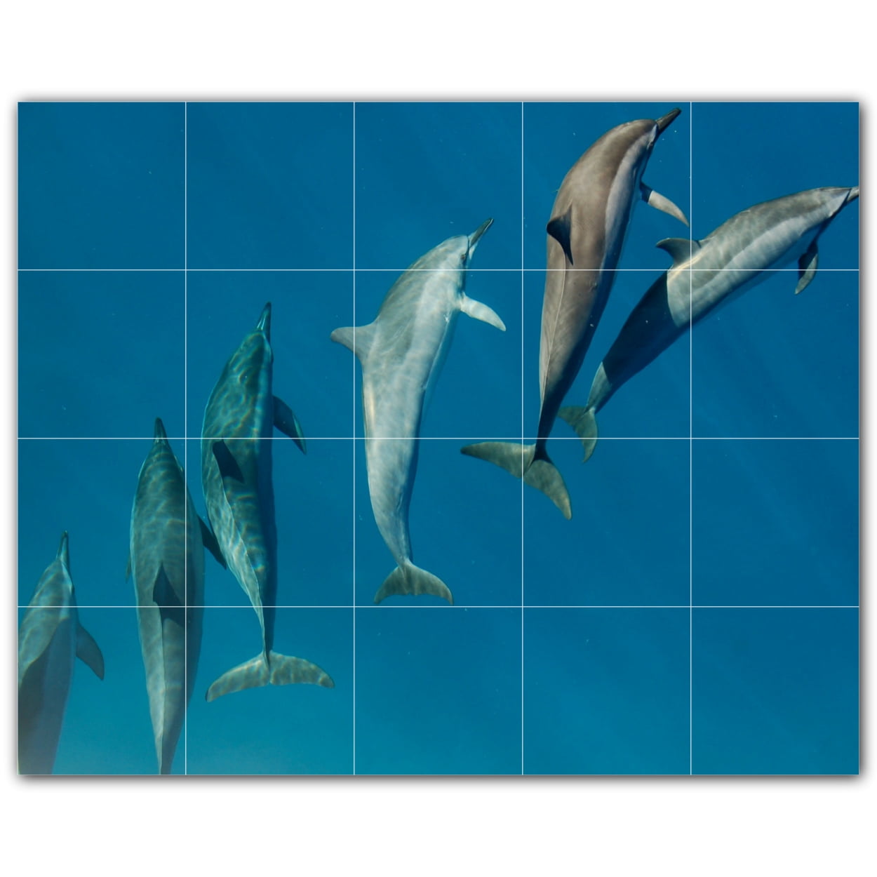 Picture-Tiles.com: Dolphin Ceramic Tile Wall Mural WAL500534-54M. 30"W ...