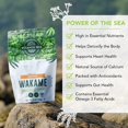 Wakame Dried Seaweed | Wild North Atlantic Seaweed for Snacking ...