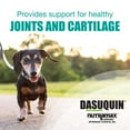 Dasuquin Soft Chews for Small & Medium Dogs 84ct - Walmart.com