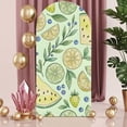 Arch Backdrop 5 Ft, Summer Tropical Fruits Spandex Stretch Fitted Arch ...