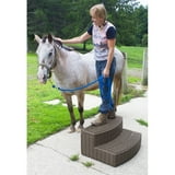 Good Ideas Stora Steps Lightweight Outdoor & Indoor Storage Step, Oak ...