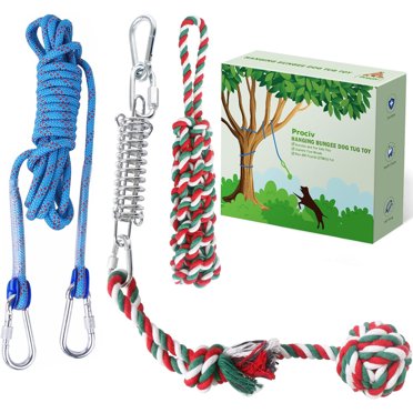 Jolly Pets Large Outdoor Tug Dog Toy, Tree Tugger Bungee in Green ...
