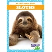 Meerkat Mail (Hardcover) - Walmart.com