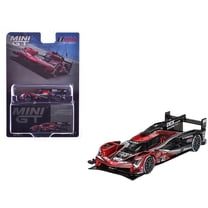 Acura ARX-06 GTP #40 "Wayne Taylor Racing with Andretti" Winner IMSA ...