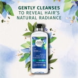 Herbal Essences Bio:Renew Blue Ginger Shampoo, Refresh & Volumize, 13.5 ...