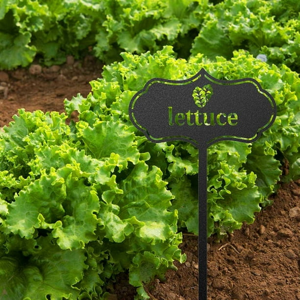 Fruit Vegetable Seed Labels,Seed and Plant Markers Stainless Steel ...