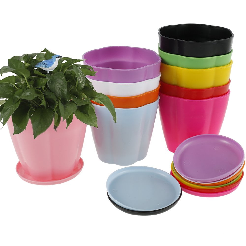Click here for Generic Garden Plant Flower Seedlings Nursery Pots... prices