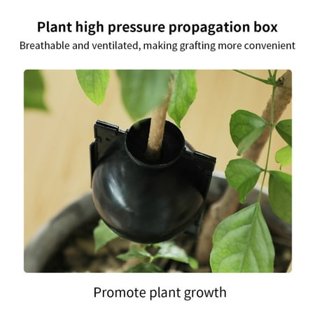 5Pcs Plant Rooting Grow Box High Pressure Propagation Plant Rooting ...