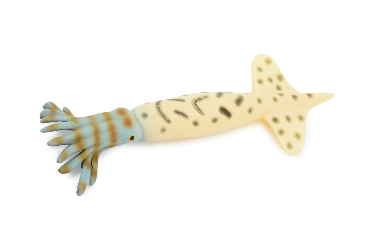 Squid, Reef Squid, Museum Quality, Hand Painted, Rubber, Educational ...
