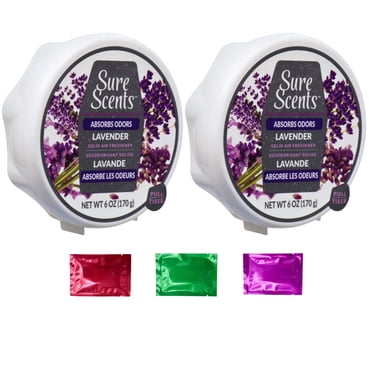 SMELLS BEGONE 12oz (2-Pack) 48oz Refill Air Freshener Odor Eliminator ...