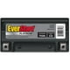 EverStart Premium AGM Power Sport Battery, Group Size TX20L 12 Volt ...