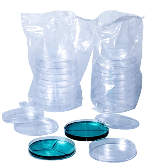 Petri Dish