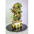 EXO Hydroponics Growing System Tier 2 Mini Tower - Advanced Indoor ...