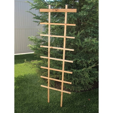 Gronomics Expandable Fan Trellis Kit - 38W x 72H in. - Walmart.com