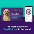 Orivet Geno Pet Plus - Dog DNA Breed Identification Test and Health ...