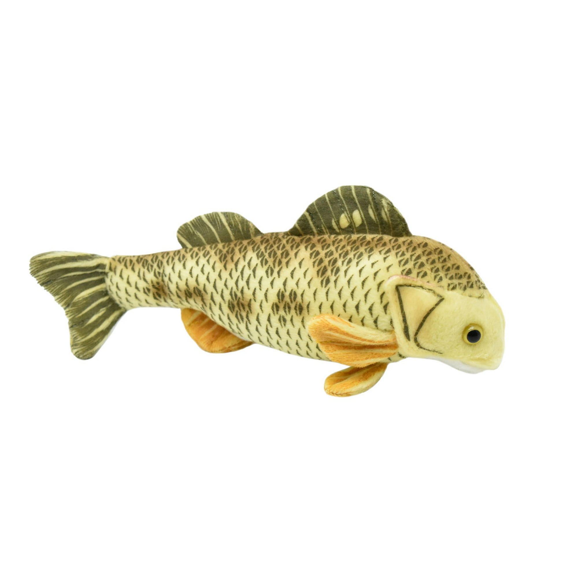 Freshwater Perch