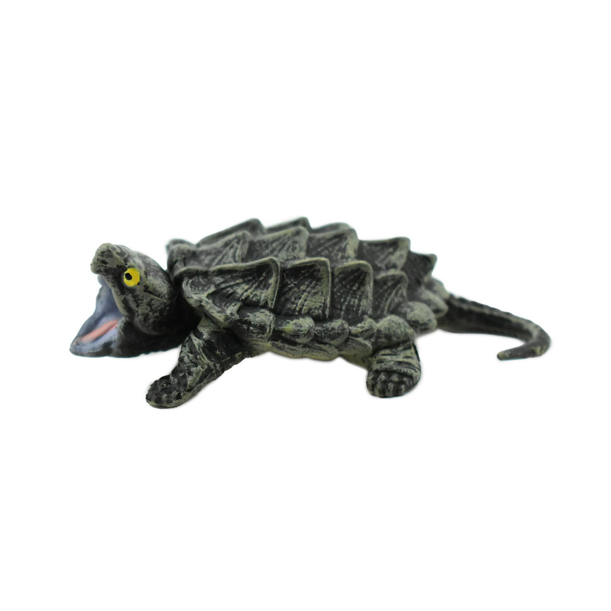 Baby Albino Alligator Snapping Turtle