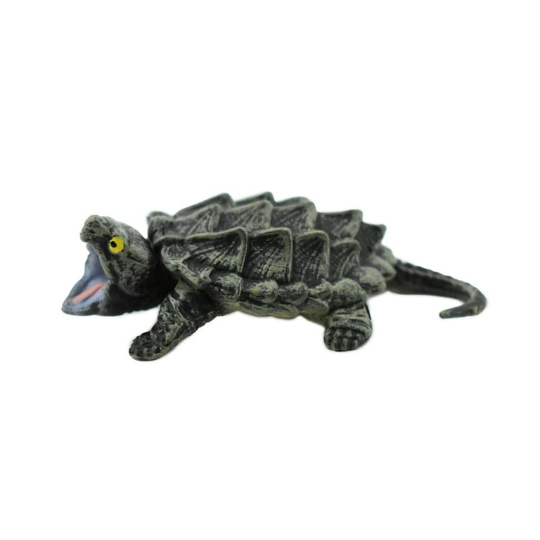 Two Headed Alligator Snapping Turtle