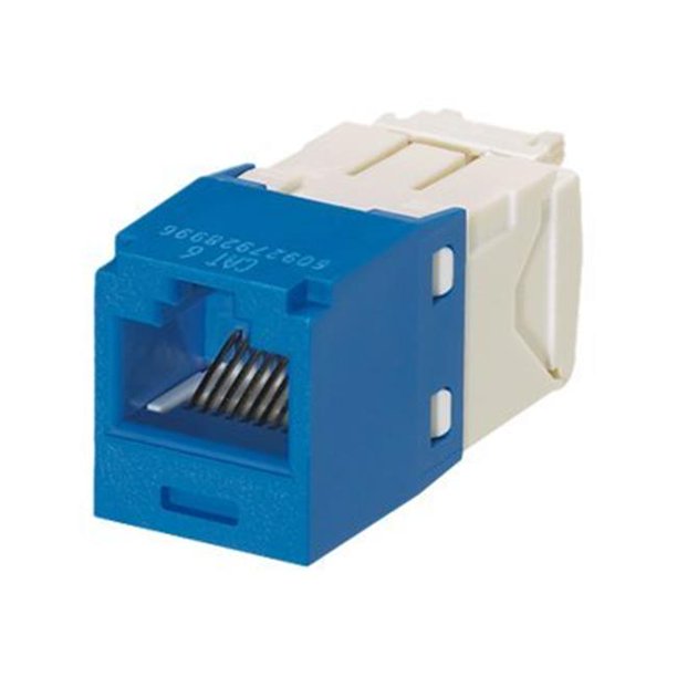 Panduit Hardware 11773237 Mini-Com TX6 Plus Modular Insert - Blue, 1 ...