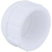 Cap 2" - Utility Grade PVC Cap - Walmart.com
