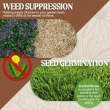 HealthiStraw Natural Vegetable Garden Straw Mulch for Soil Health, Lawn ...