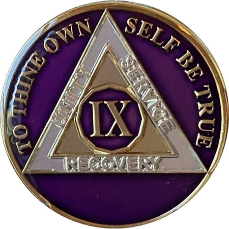 Ranger Industries 9 Year AA Medallion Metallic Purple Tri-Plate ...