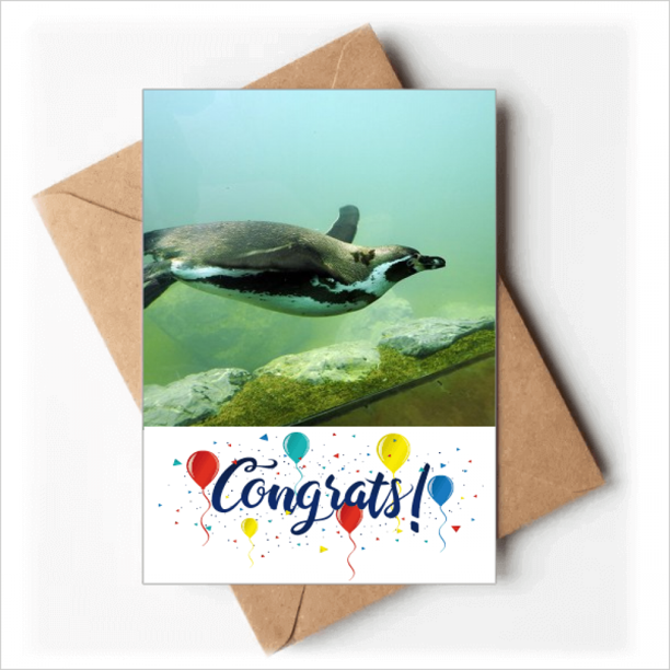 Ocean Antarctic Penguin Science Nature Picture Wedding Cards ...