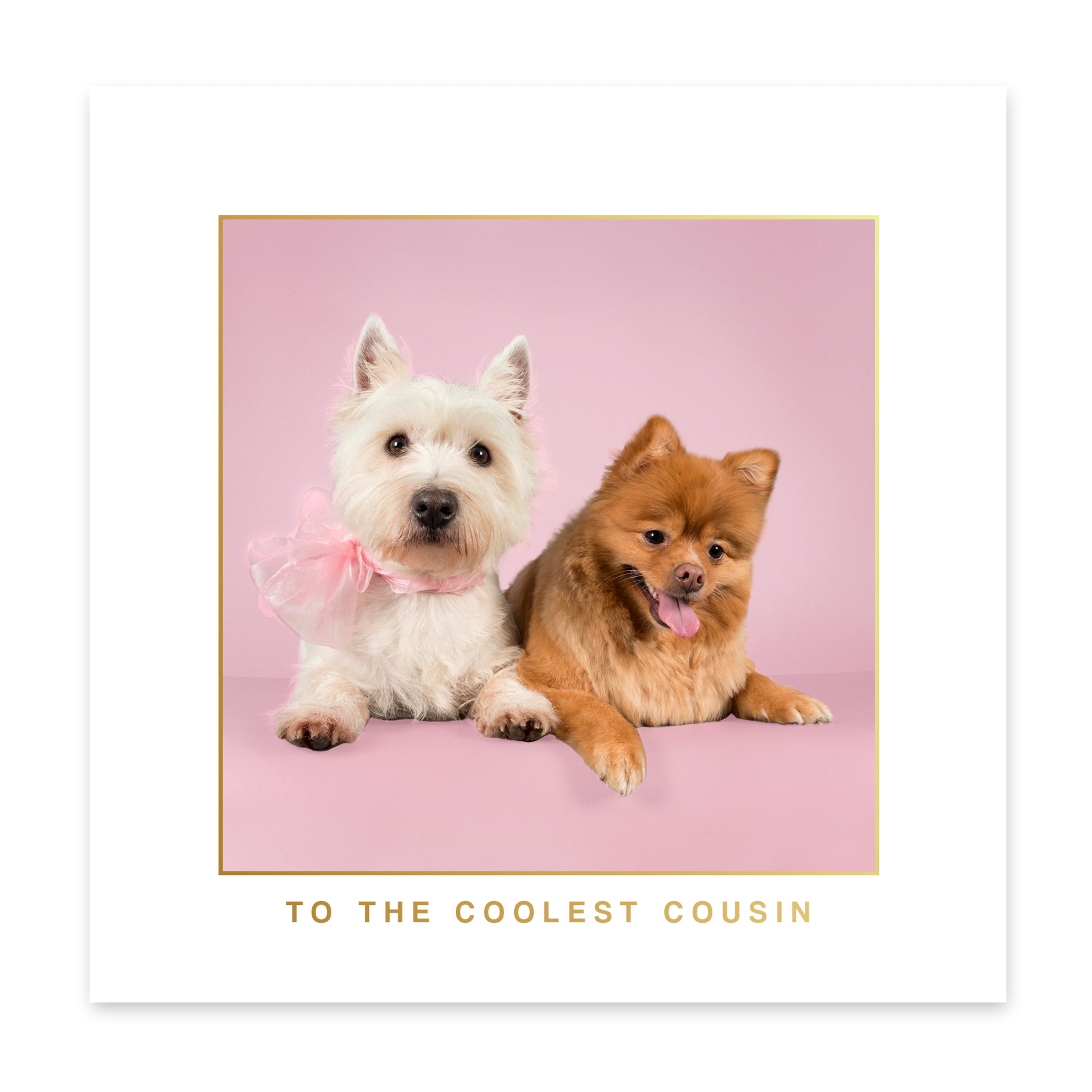 Central 23 - Cute Birthday Card for Her - 'To the Coolest Cousin ...