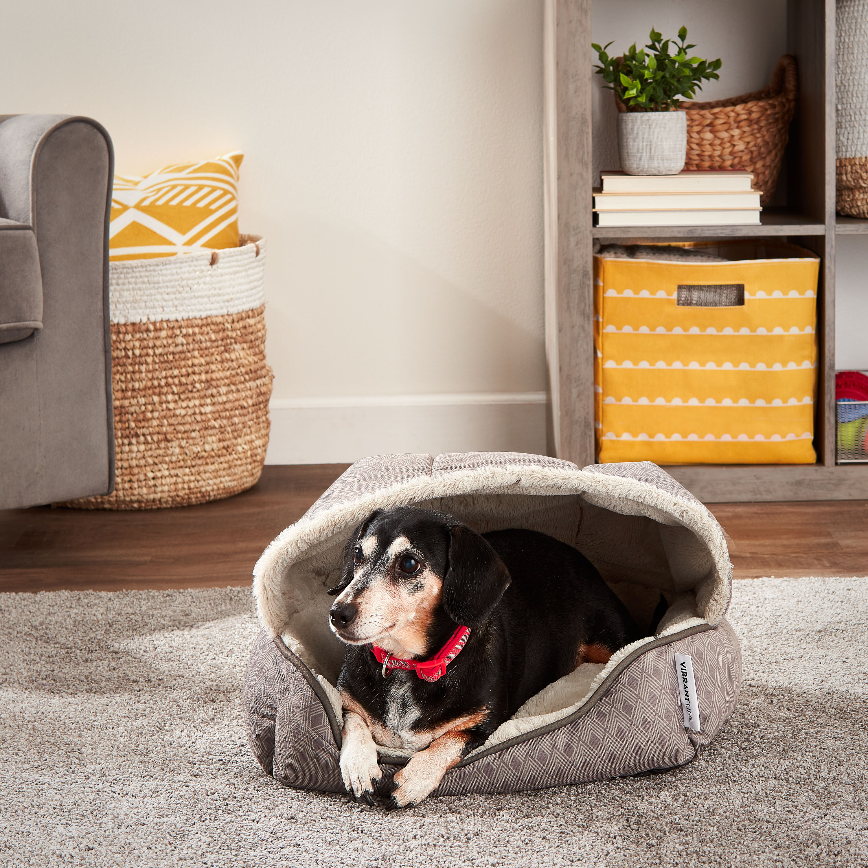 Buy Vibrant Life Oval Small Cuddler Dog Bed, Taupe Online at Lowest ...