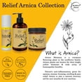Brookethorne Naturals Relief Arnica Montana Sore Muscle Massage Oil