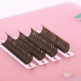 Veyes Inc 0.05mm Latte Brown Eyelash Extensions Veyelash 8-16MM ...