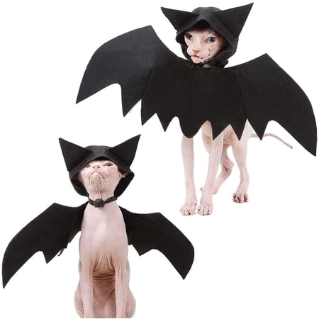 IGUOHAO Cat Bat Wings with Bat Hat Halloween Cat Costume Pet Bat ...