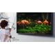 SAMSUNG 55" Class The Terrace Outdoor QLED 4K Smart TV, QN55LST7TAFXZA ...