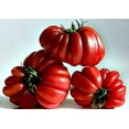 Ruffled Tomato Seeds - 25+ Seeds to Grow - Exotic Heirloom Vegetable ...