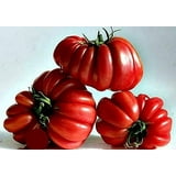 Ruffled Tomato Seeds - 25+ Seeds to Grow - Exotic Heirloom Vegetable ...