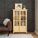 Ameriwood Home Aaron Lane Bookcase with Sliding Glass Doors, Golden ...