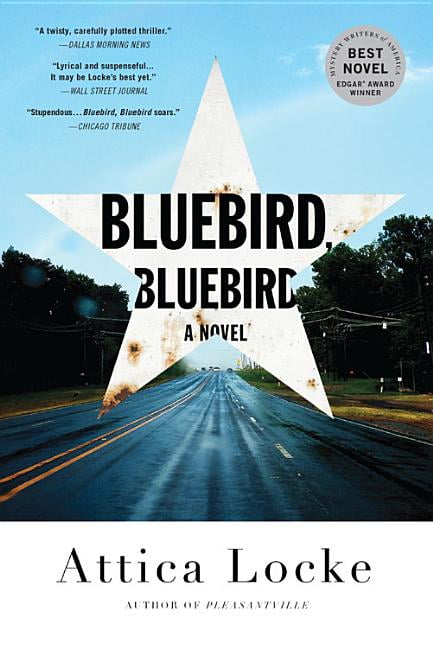 Bluebird, Bluebird - Walmart.com
