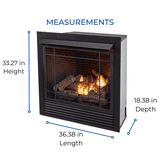 Duluth Forge Dual Fuel Ventless Fireplace Insert - 32,000 BTU, Remote ...