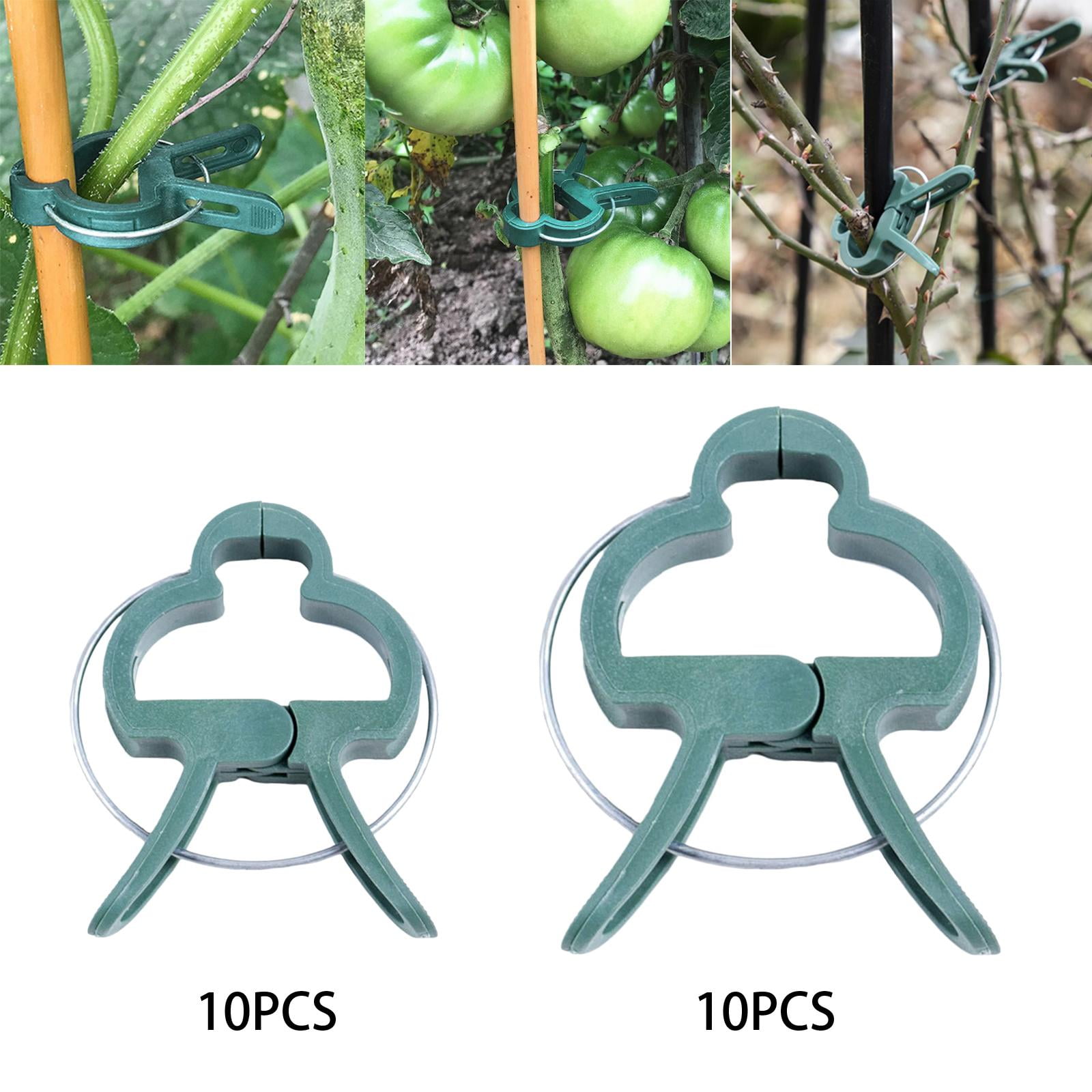 Plant Clips Accessories Garden Clips Tomato Fruit Vegetables Orchid ...