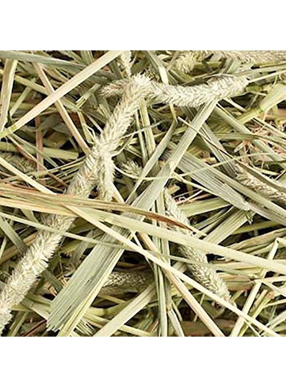 Timothy Hay in Small Pets - Walmart.com