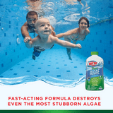 HTH Super Algae Guard 5-in-1: Algae Killer, Preventer, Pool Cleaner, 1 ...