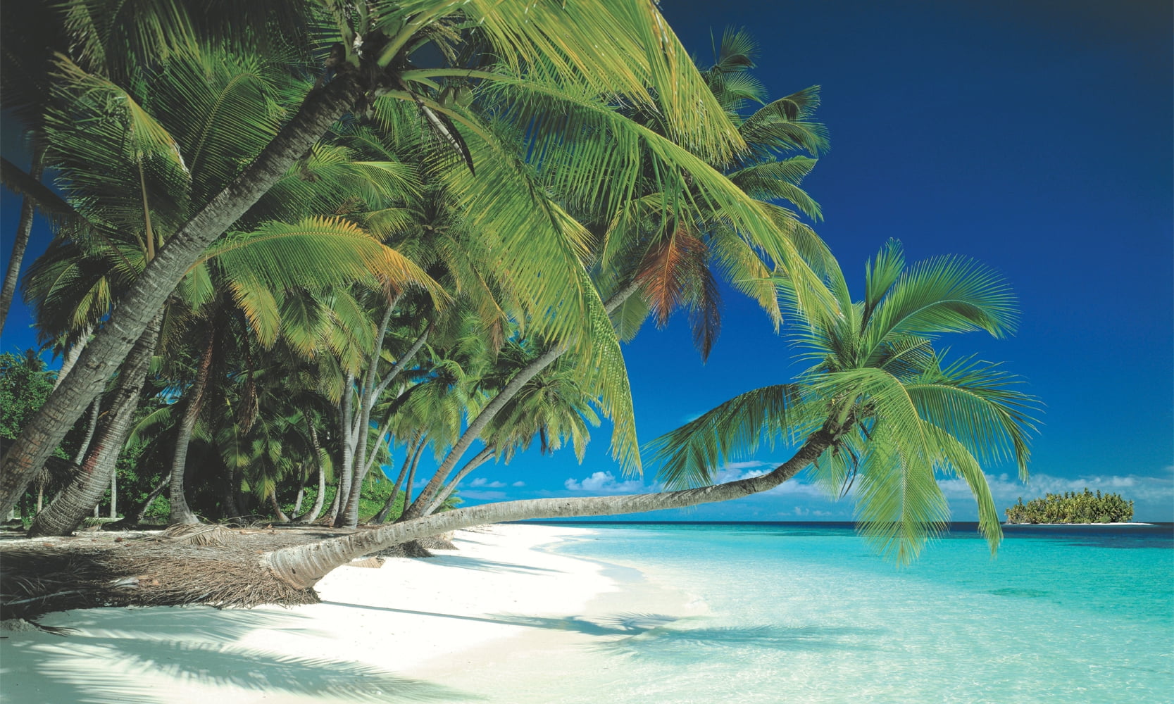 Window Well Scene-Beach 70" X 60" - Walmart.com