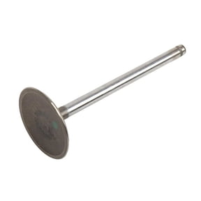 GM Genuine Parts 12610931 Engine Intake Valve - Walmart.com