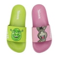 Shrek & Donkey Men's Green & Pink Slide Sandals -Large - Walmart.com