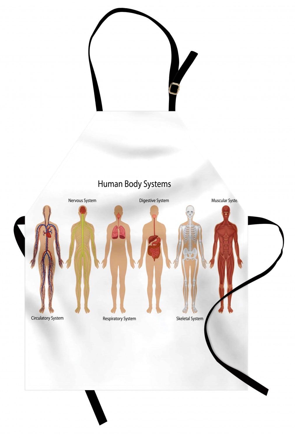 Human Anatomy Apron Human Body with Central Nervous Network Skeleton ...
