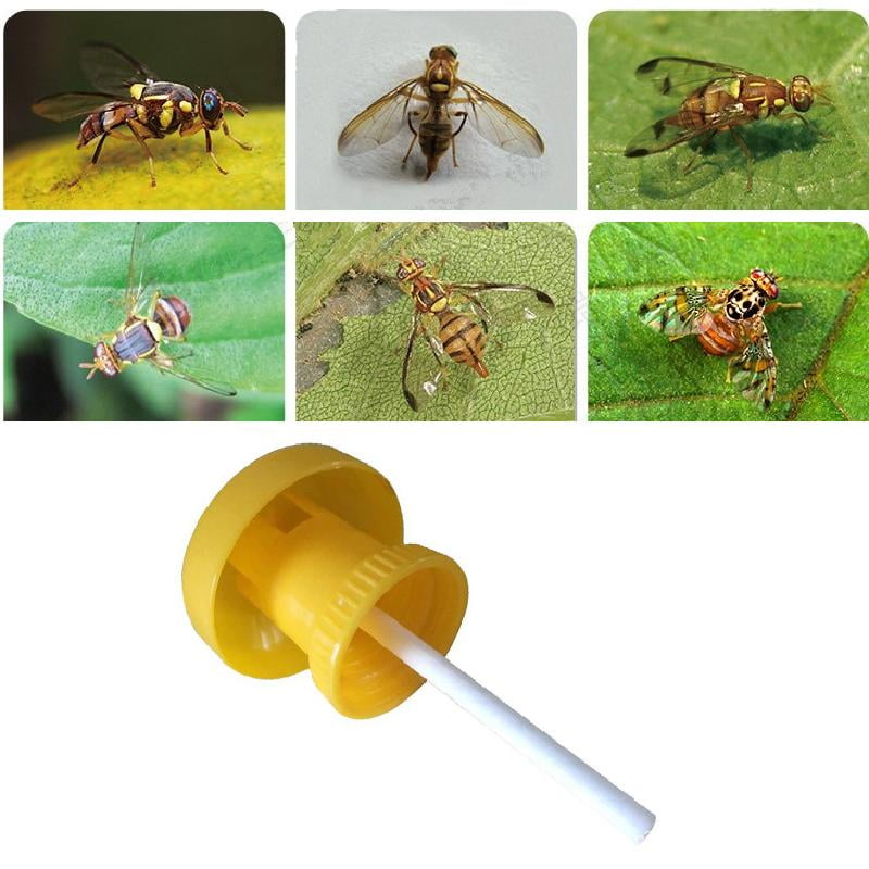 Buy TONKBEEY Yellow Plastic Fly Trap Killer Cap Fly Drosophila Trap ...
