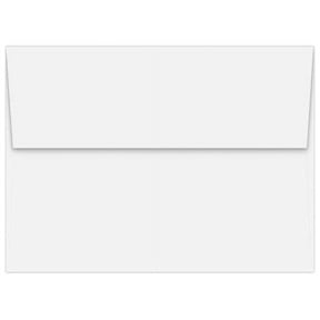 5 x 8 in. Vinyl Envelope Insert Cards - Pack of 100 - Walmart.com