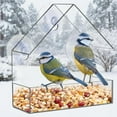 Window Bird Feeder with 3 Strong Suction Cups and Seed Tray, Clear ...