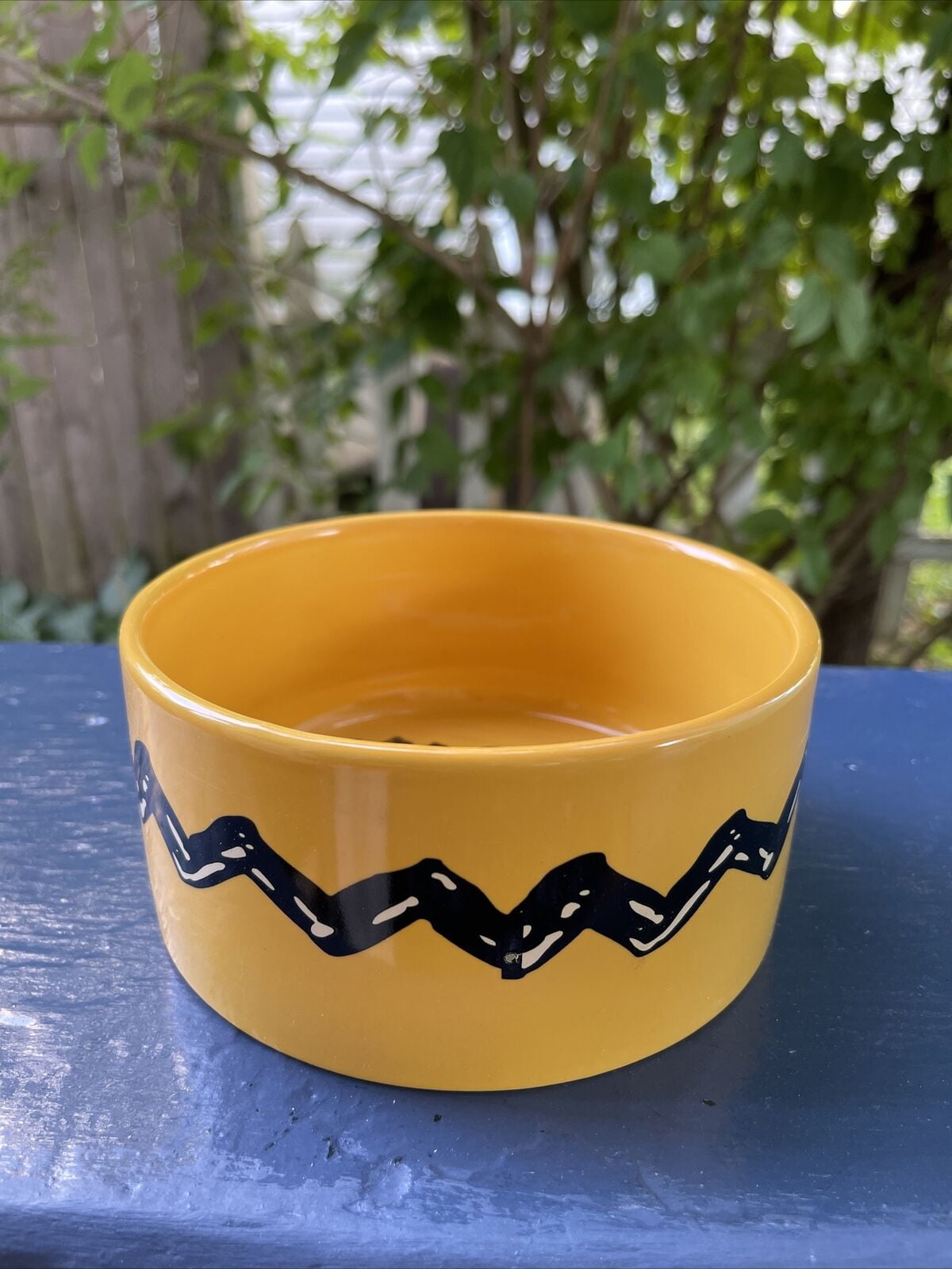 Peanuts Good Grief Pet Ceramic Bowl ~ 3.5 Cups - 28 Oz - Walmart.com
