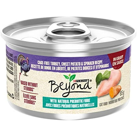 Beyond Grain Free Natural Wet Cat Food, Turkey, Sweet Potato & Spinach ...
